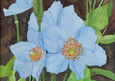 Blog - The Broadway Gallery